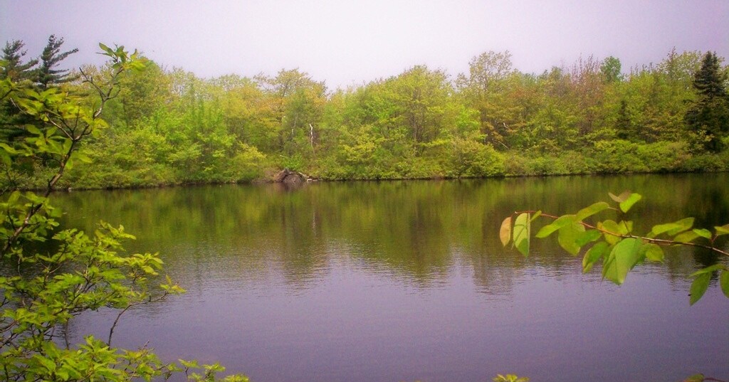 Albro Lake Beach - Open Water Data
