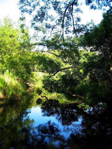 Alligator Point - Open Water Data