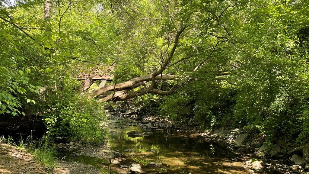 Anacostia River- Long Branch - Open Water Data