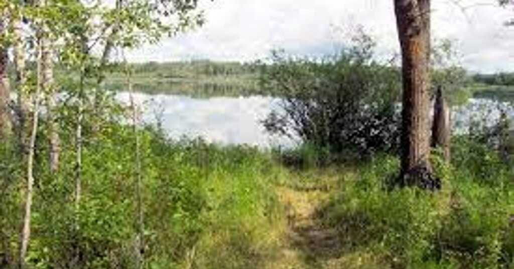 Annie Laurie Beach - Open Water Data