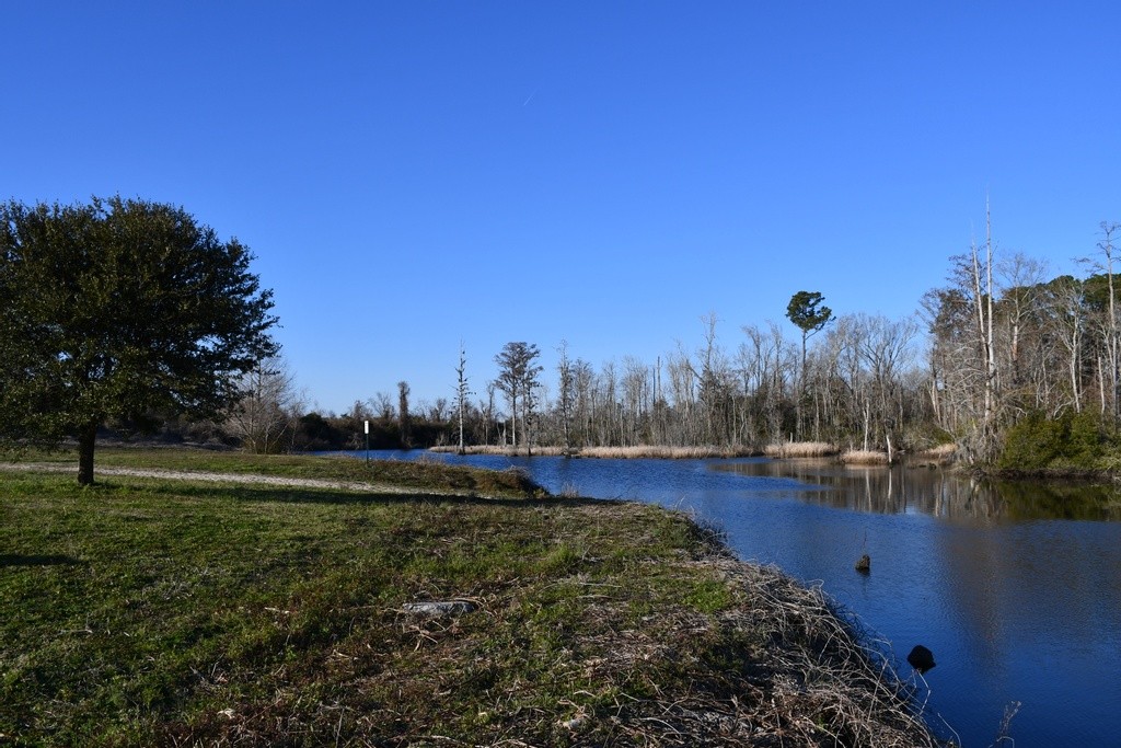 Archie Blue Community Park - Open Water Data