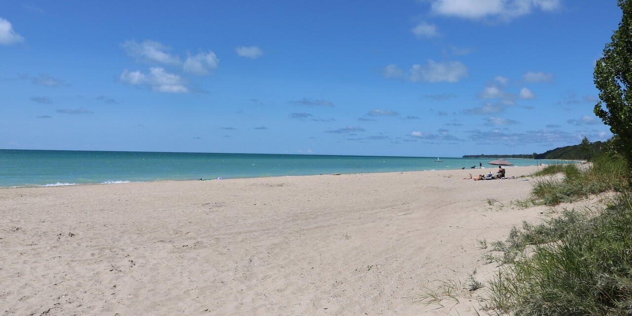 Ashfield Beach - Open Water Data
