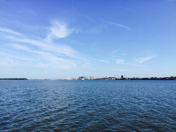 Ashley River 1 - Open Water Data