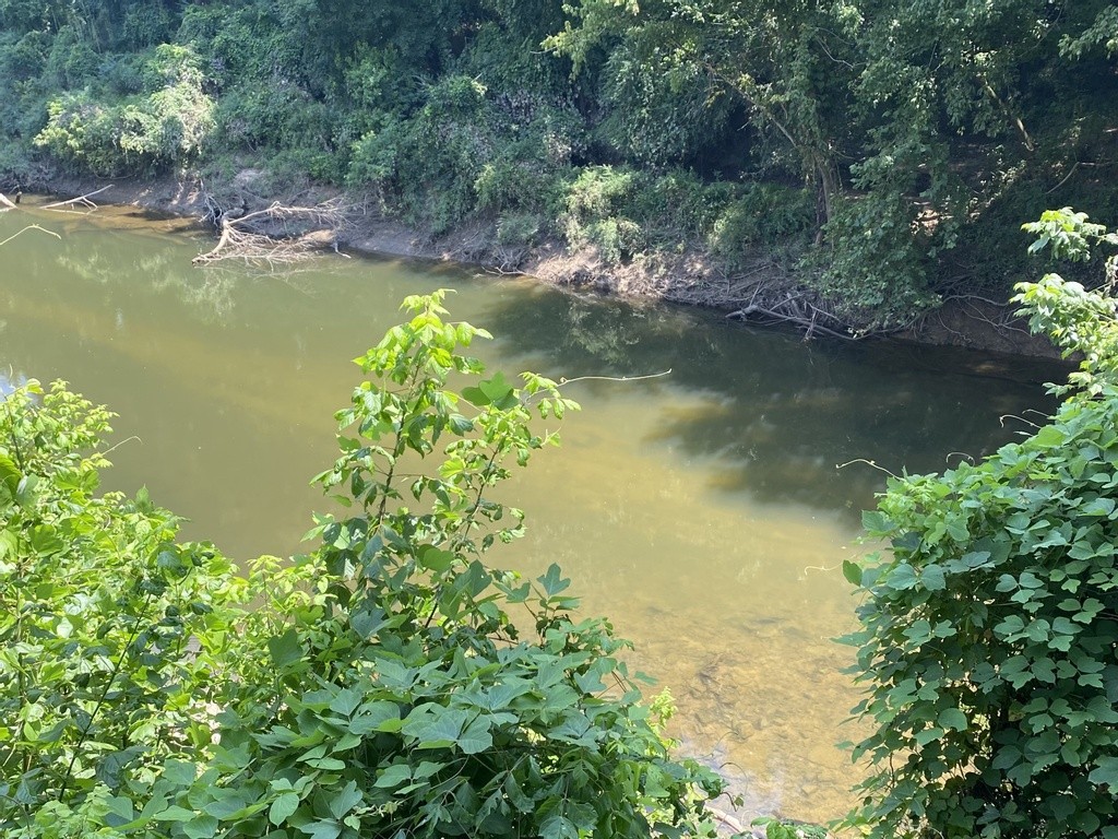 Bains Bridge - Open Water Data