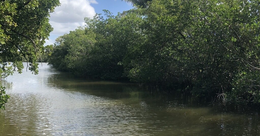 Baker Park - Open Water Data