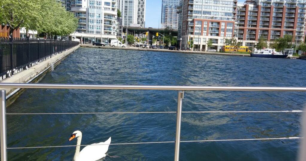 Bathurst Quay - Open Water Data