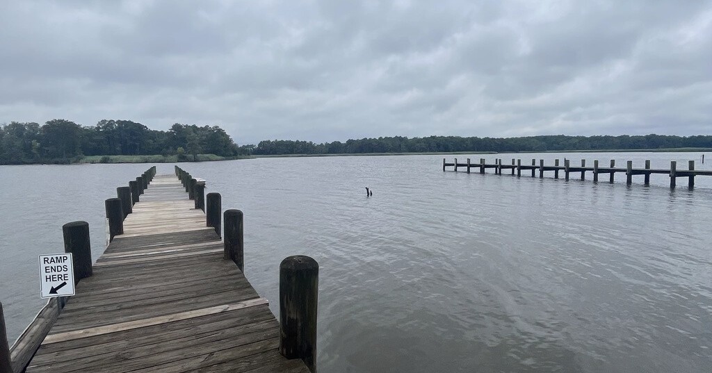 Bogles Wharf - Open Water Data
