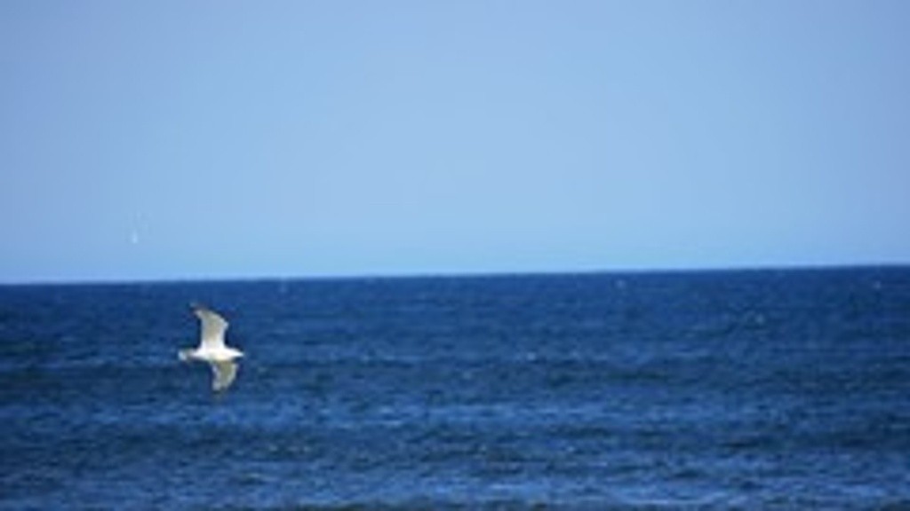 Brick Beach - Open Water Data