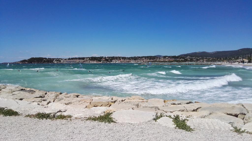 Brutal Beach - Open Water Data