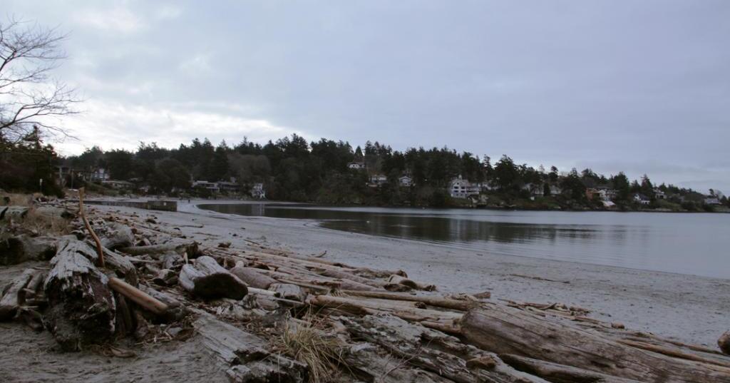 Cadboro Bay Beach - Open Water Data