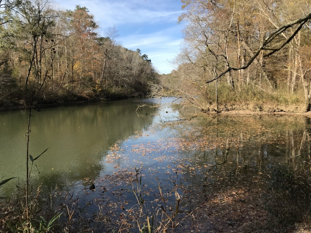 Cahaba Beach Road - Open Water Data