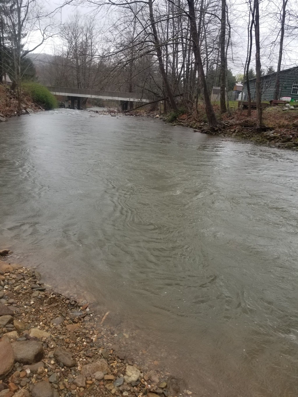 Calloway Road Bridge, Watauga River - Open Water Data