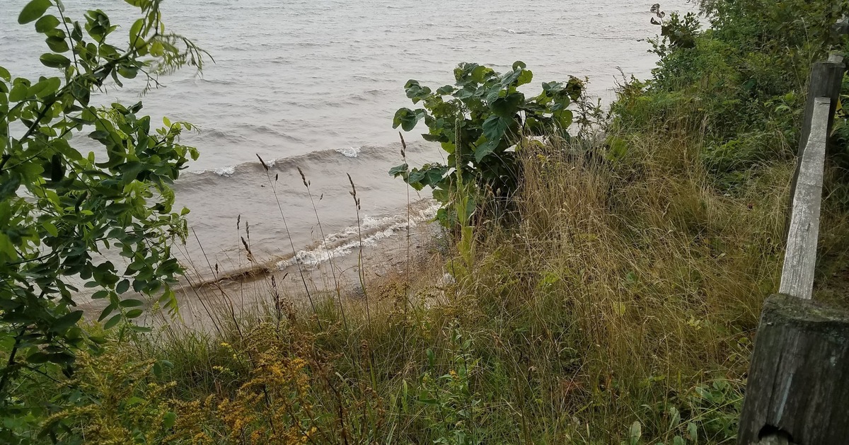 Camp Kenan Beach - Open Water Data