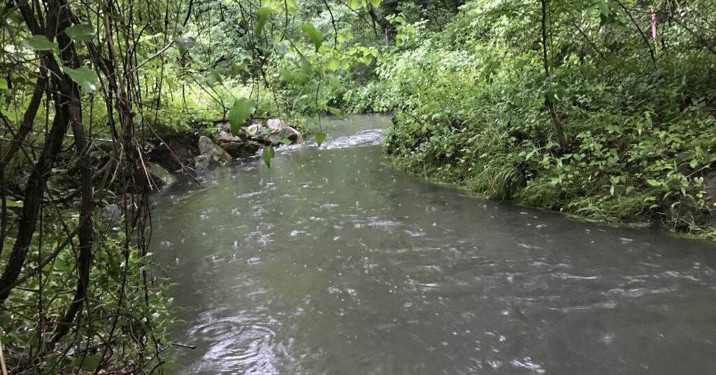 Cherry Grove - Open Water Data