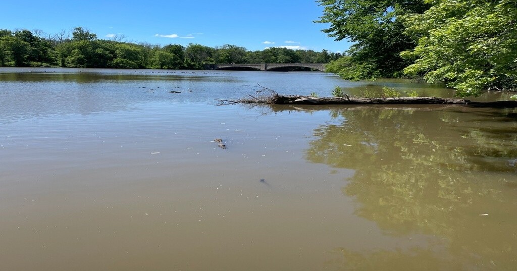 (CL4) Carnegie Lake - Open Water Data