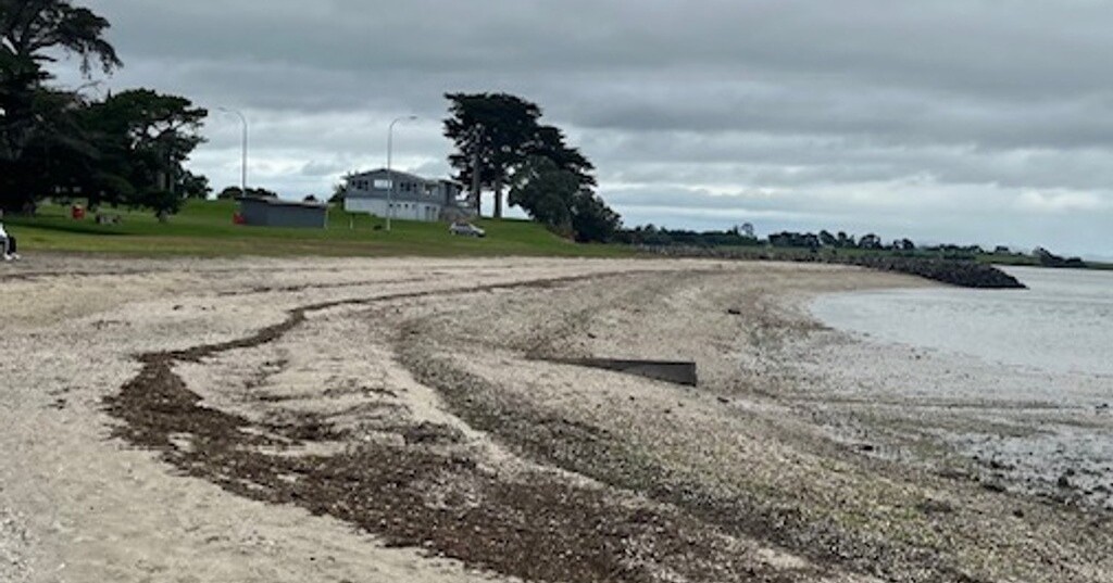 Clarks Beach - Open Water Data