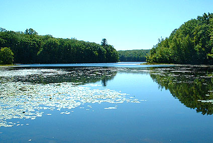 Cockaponset State Forest - Open Water Data
