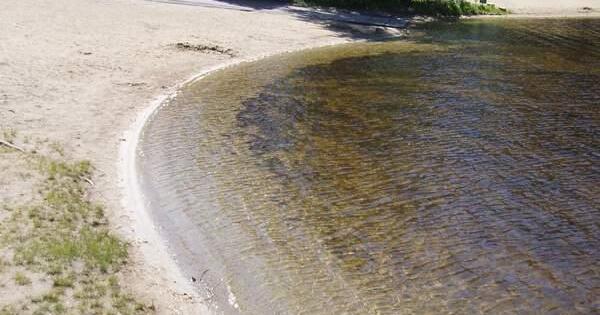 Conway Lake Town Beach - Open Water Data