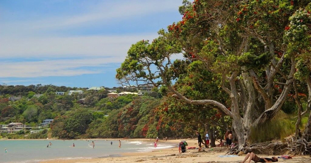 Cooper's Beach - Open Water Data