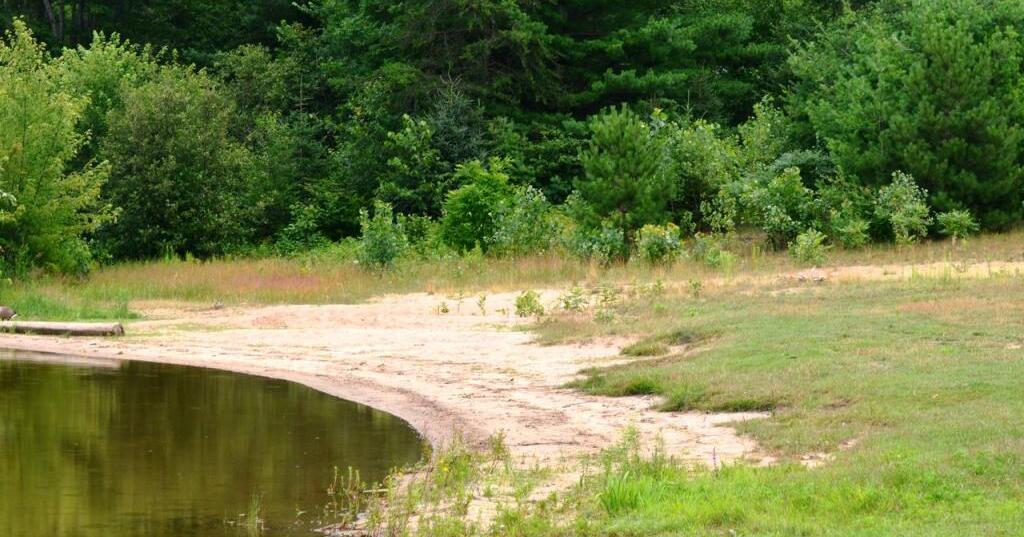 Corry Lake Beach - Open Water Data