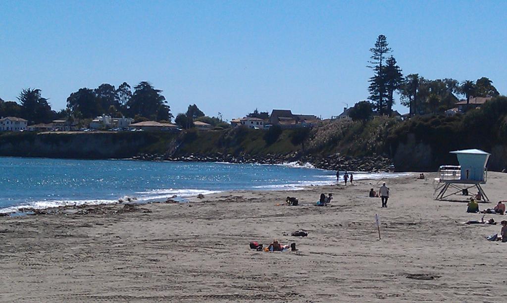 Cowell Beach - Open Water Data
