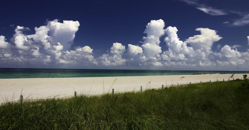 Dania Beach - Open Water Data