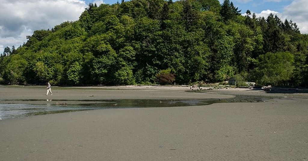 Dash Point State Park - Open Water Data