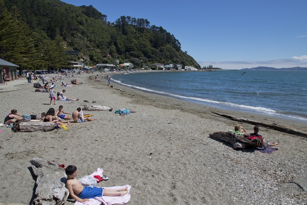 Days Bay at Moana Road - Open Water Data