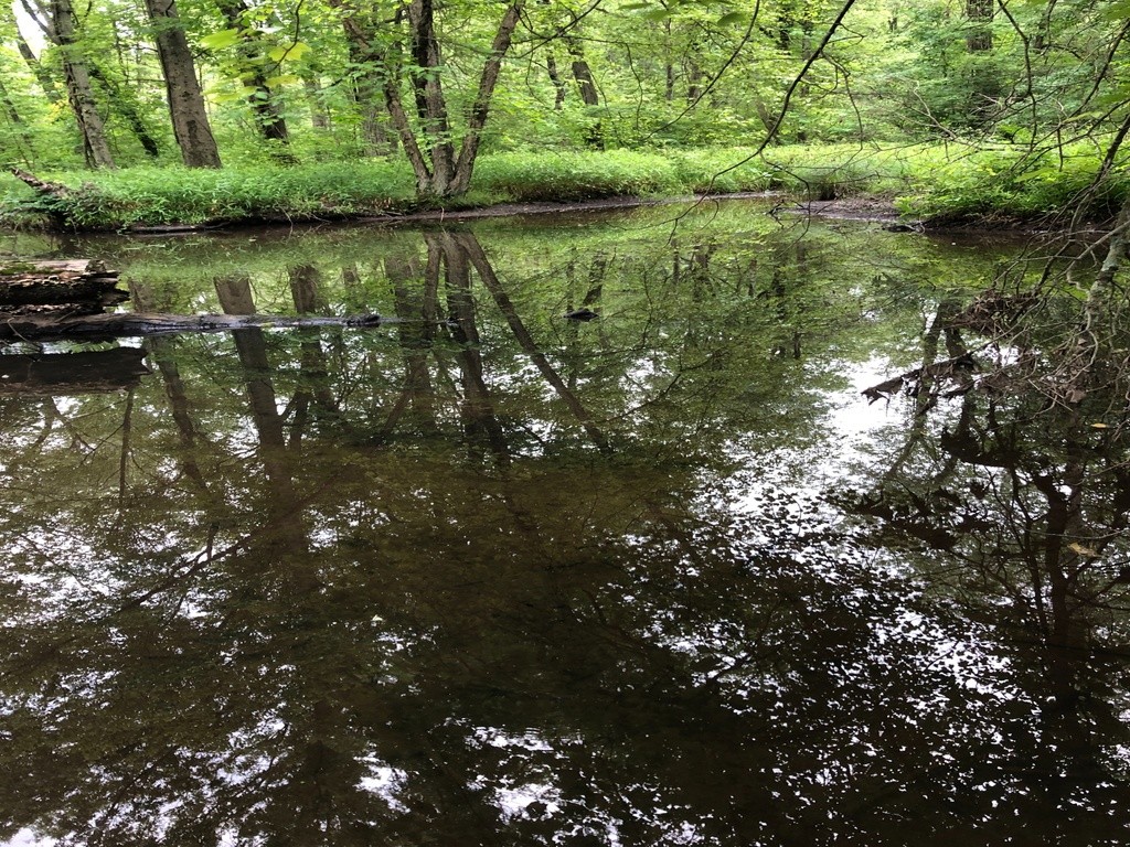 (DP3) Duck Pond Run - Open Water Data