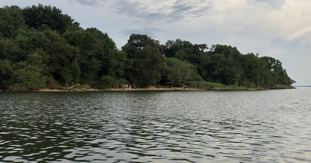 Drum Point - Wye Island - Open Water Data