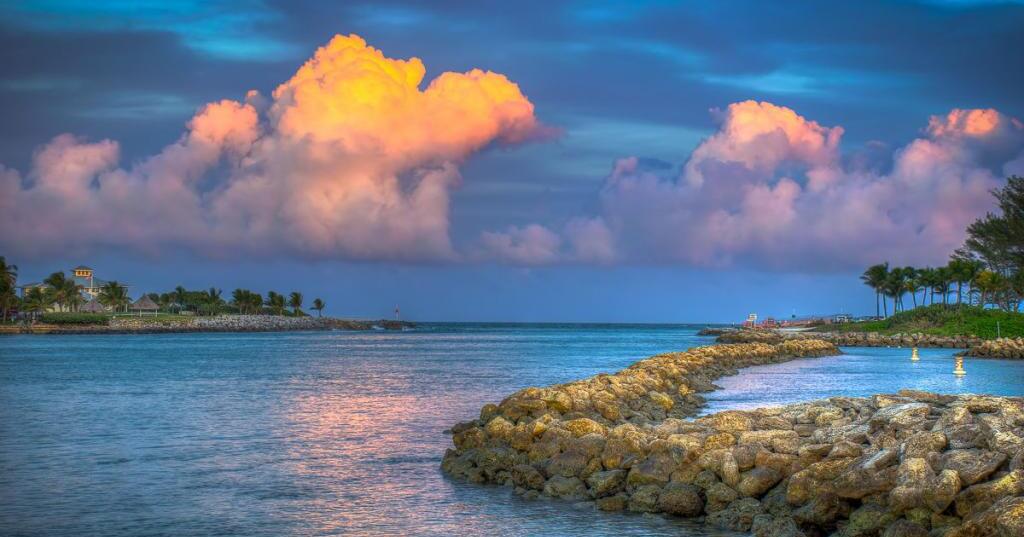 DuBois Park - Open Water Data