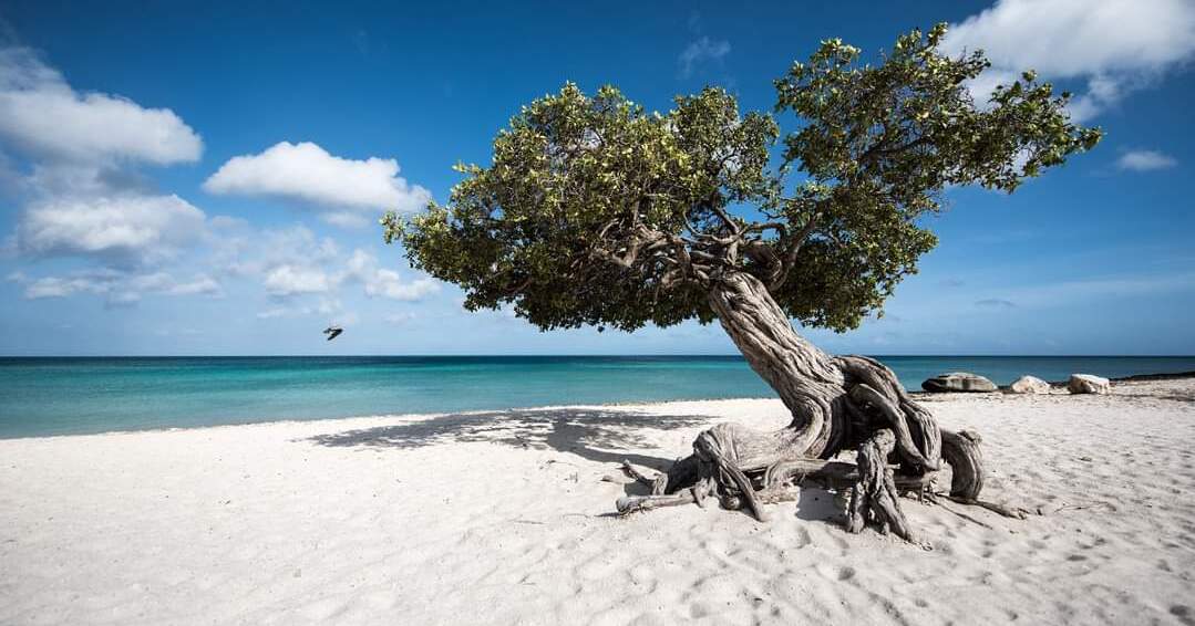 Eagle Beach - Open Water Data