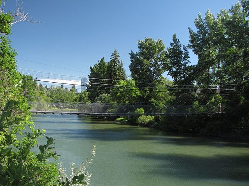 Elbow River at Rideau Pedestrian Bridge - Open Water Data
