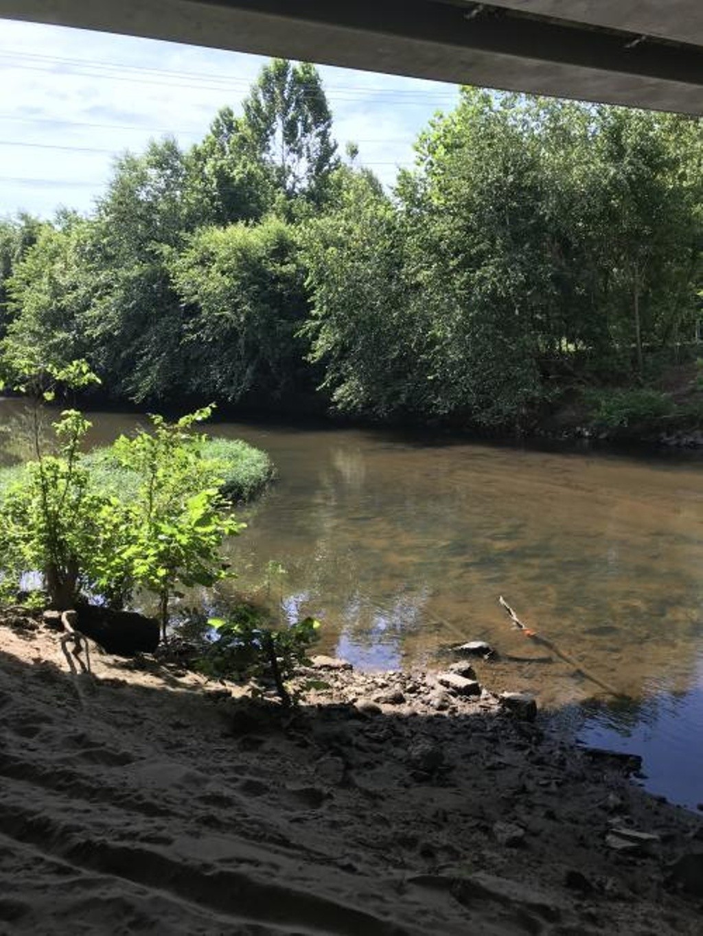 Farmville Main St. Bridge - Open Water Data