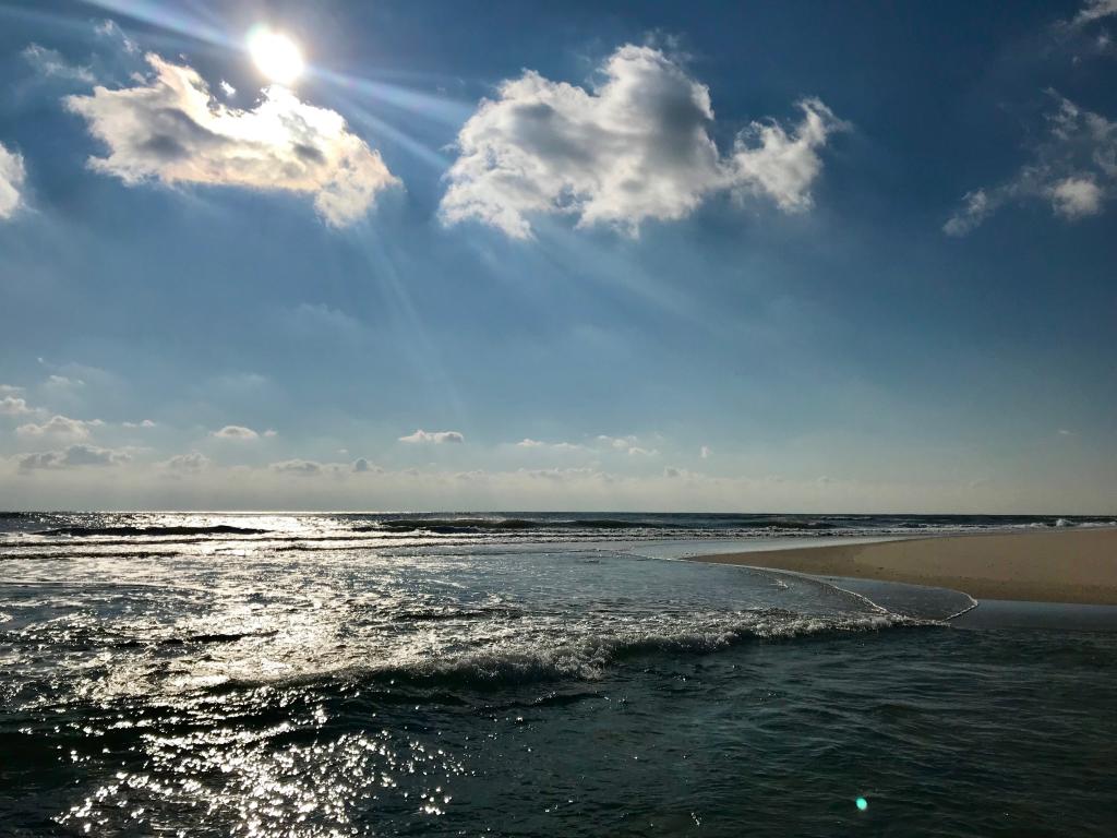 Flying Point: Scott Cameron Beach - Open Water Data