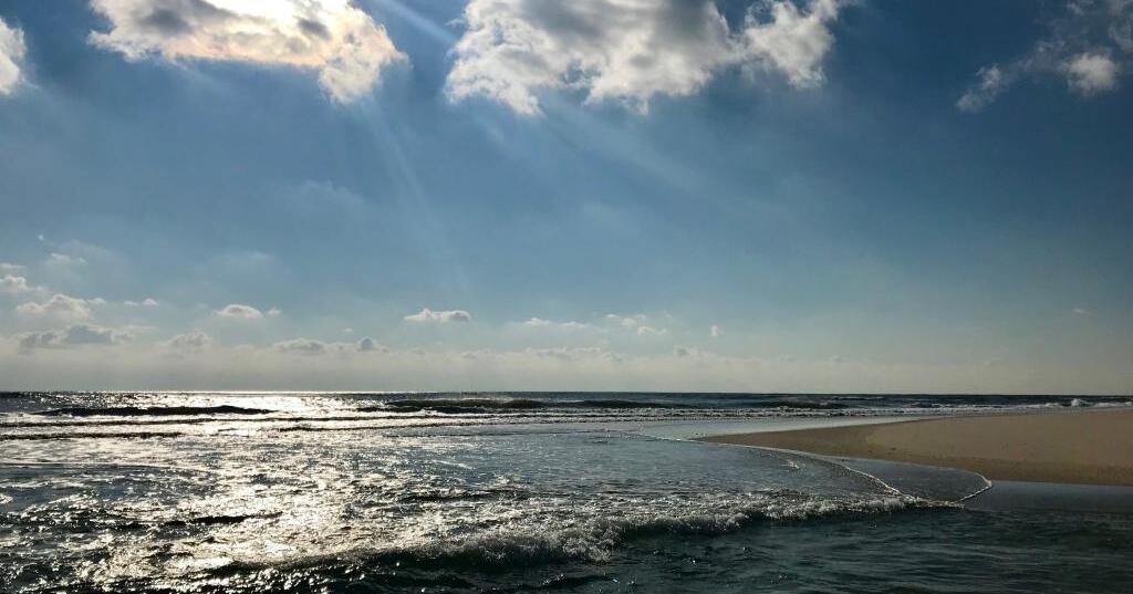 Flying Point: Scott Cameron Beach - Open Water Data