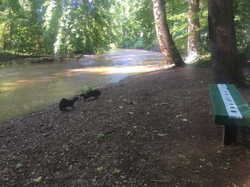 FODC's Outdoor Learning Park - Open Water Data