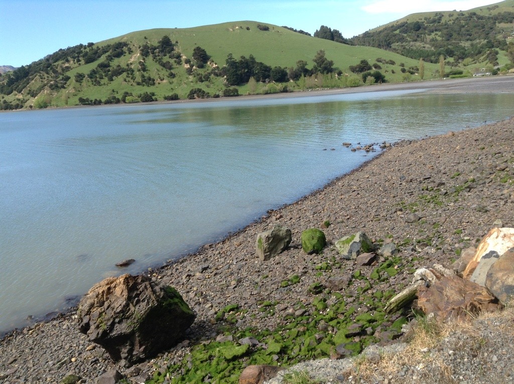 French Farm Bay - Open Water Data