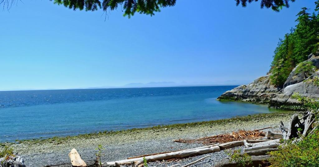 Georgia Beach - Open Water Data