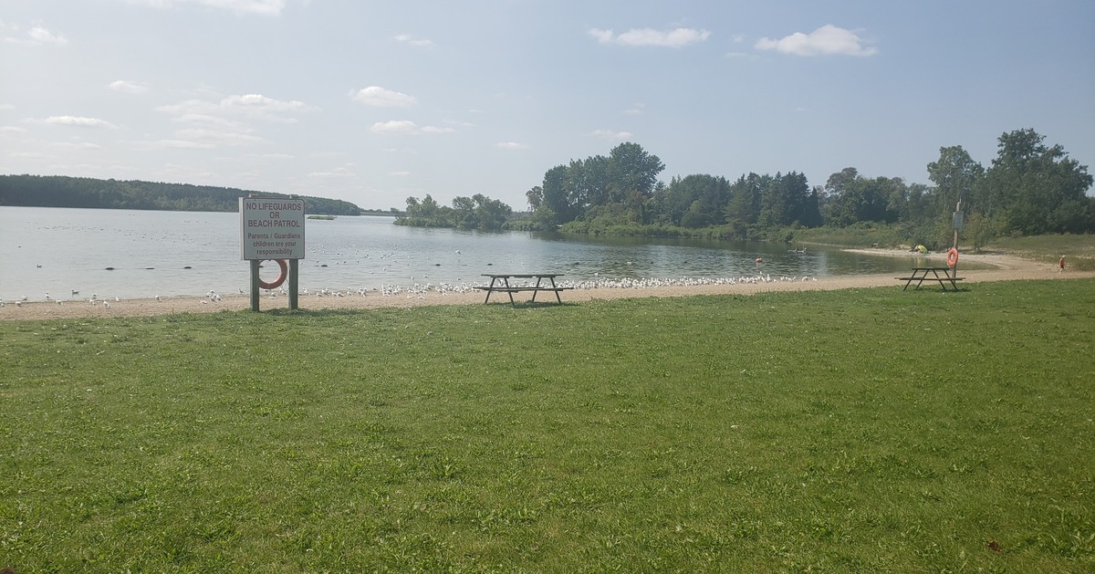 Guelph Lake - Island Beach - Open Water Data