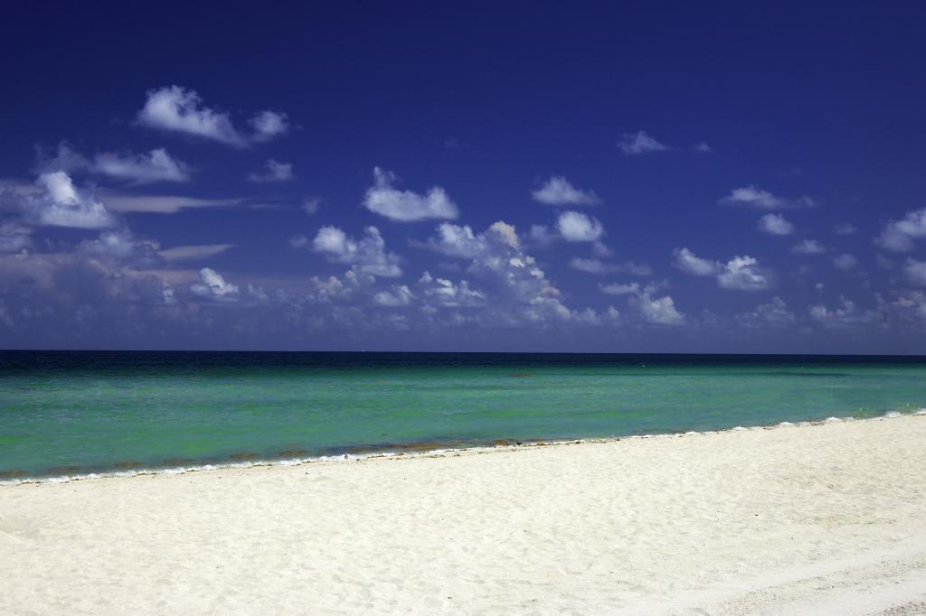 Harrison Street Beach - Open Water Data