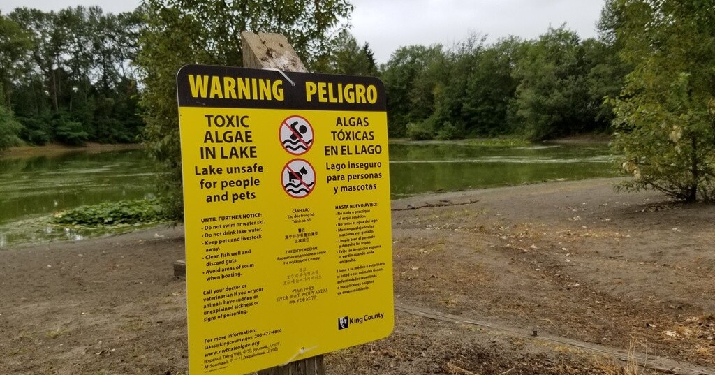 Hicklin Lake - Open Water Data