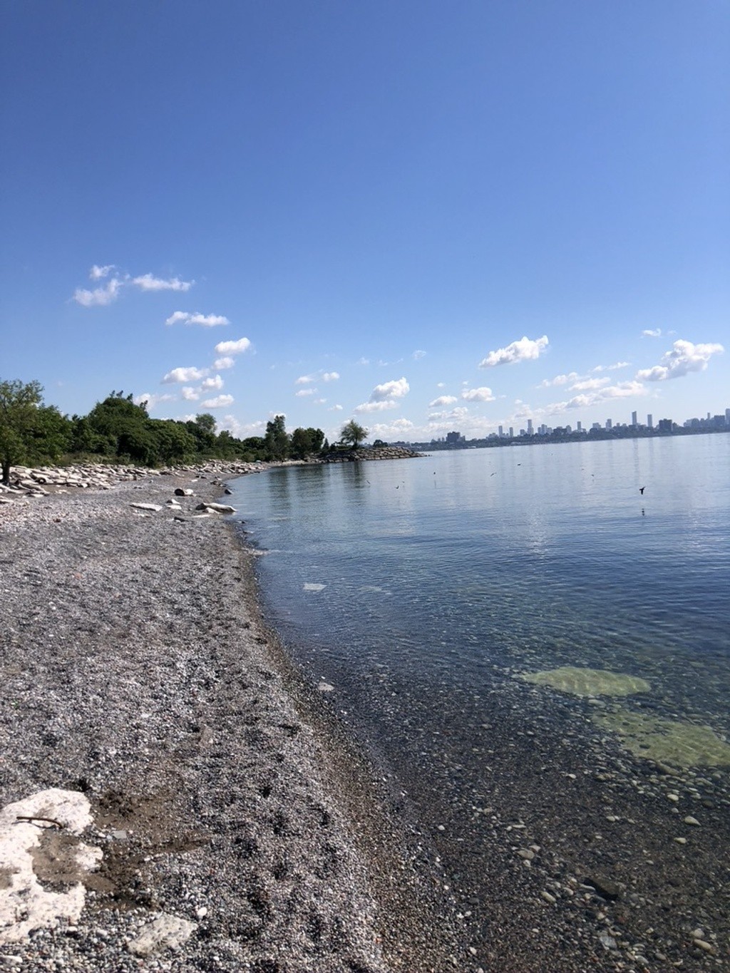 Humber Bay Shores Park - Open Water Data