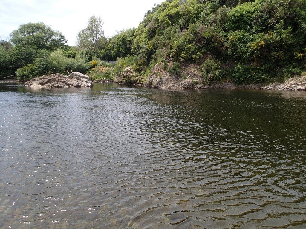Hutt River at Maoribank Corner - Open Water Data