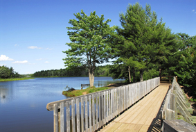 Irishtown Nature Park - Open Water Data