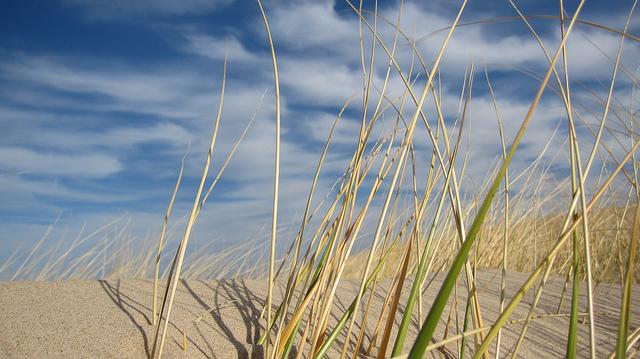 Jean Klock Park - Open Water Data