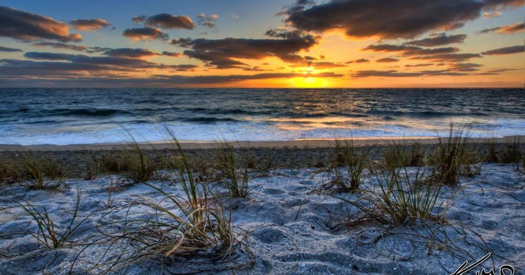 Jupiter Beach Park - Open Water Data