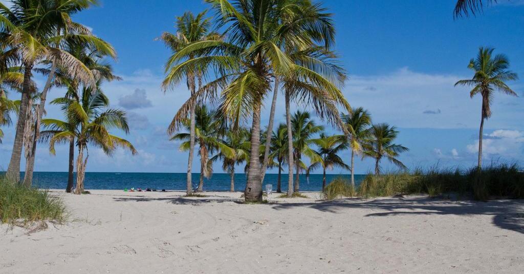 Key Biscayne Beach - Open Water Data
