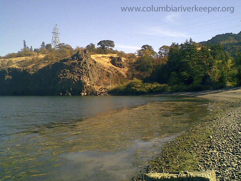 Koberg Beach - Open Water Data