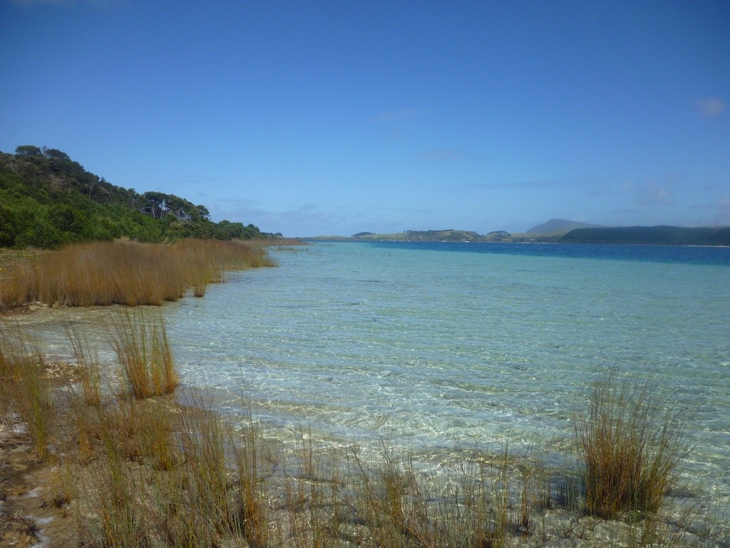 Lake Taharoa at Pump House - Open Water Data